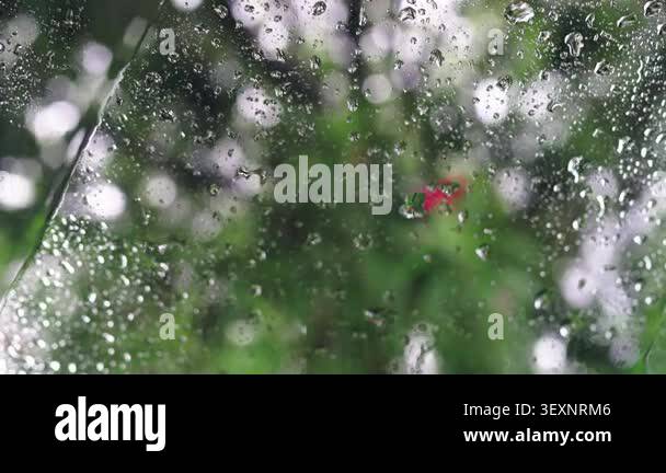 Close-up of raindrops on a glass window with soft green bokeh and ...