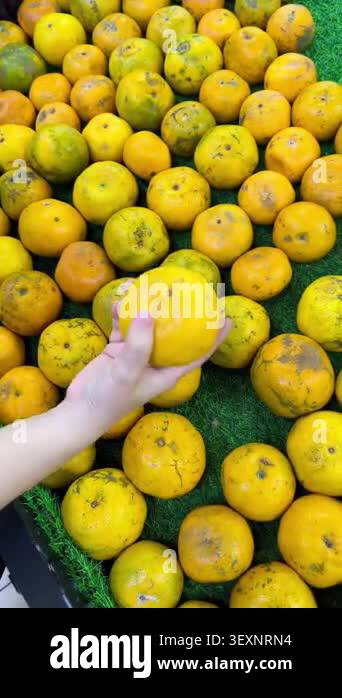 Hand picking fresh citrus oranges from supermarket display. A close-up ...