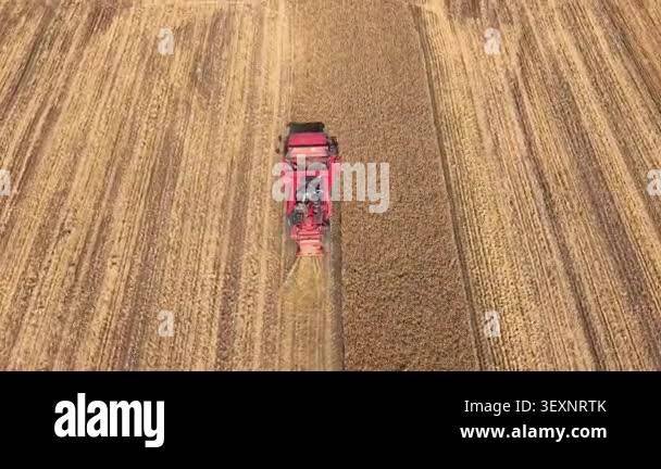 Aerial view of combine harvesting in golden wheat field Stock Video ...