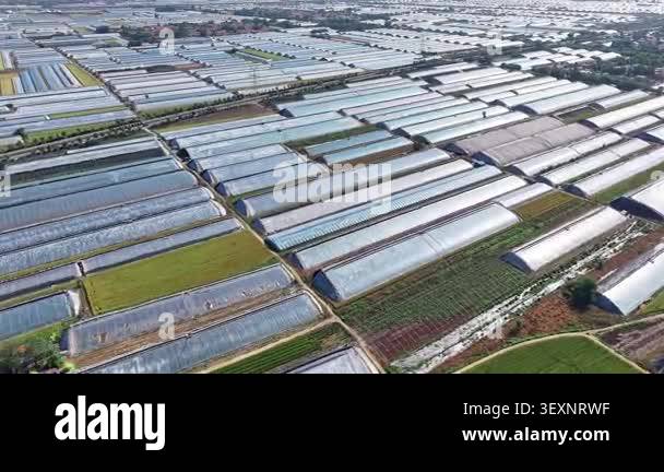 Aerial View of Large Commercial Greenhouse Complex for Modern ...