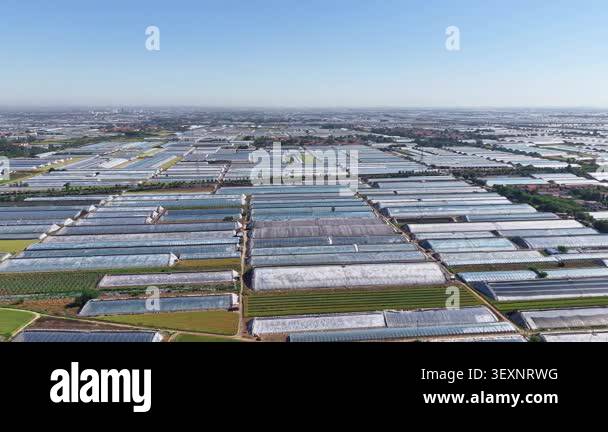 Aerial View of Large Commercial Greenhouse Complex for Modern ...