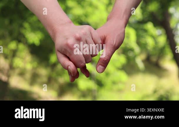 Close-up of two women's hands holding each other. Two women holding ...