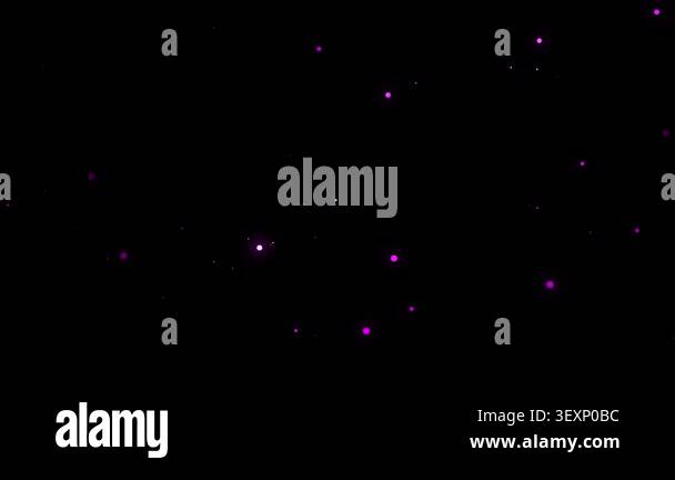 Abstract glowing purple particles animation on black background, dreamy ...
