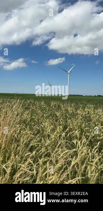 A wind turbine rotates to generate renewable energy while another ...