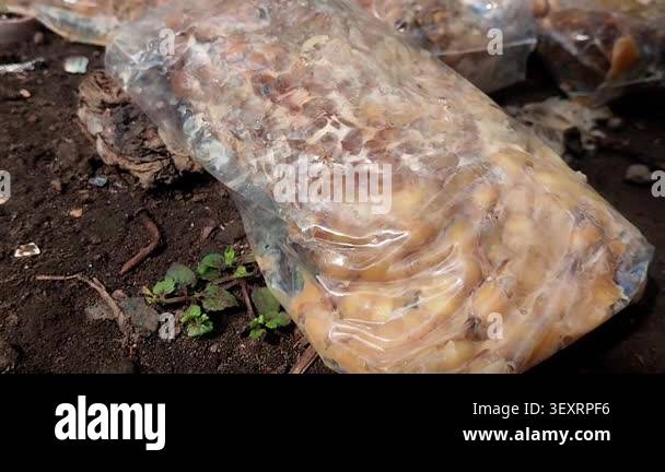 Close up eye level view of a static single spoiled tempeh block wrapped ...