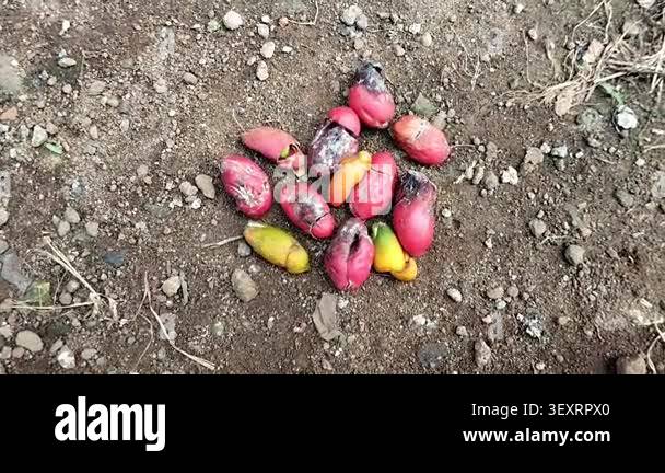 High angle view of a static scattered pile of mixed red, yellow, and ...