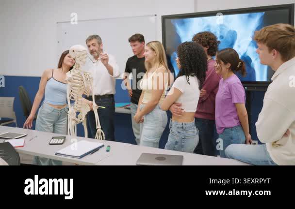Professor teaching young college students about human anatomy using a ...