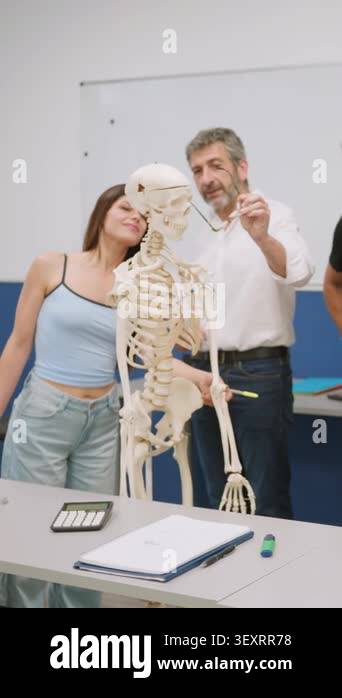 Biology teacher explaining the human skeletal system to a young female ...
