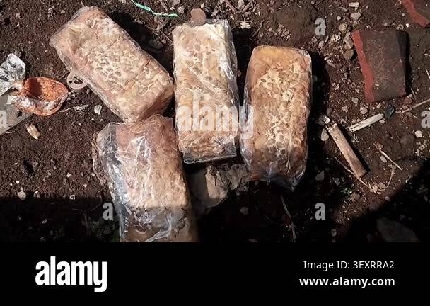 High angle shot of static rectangular tempeh blocks wrapped in plastic ...