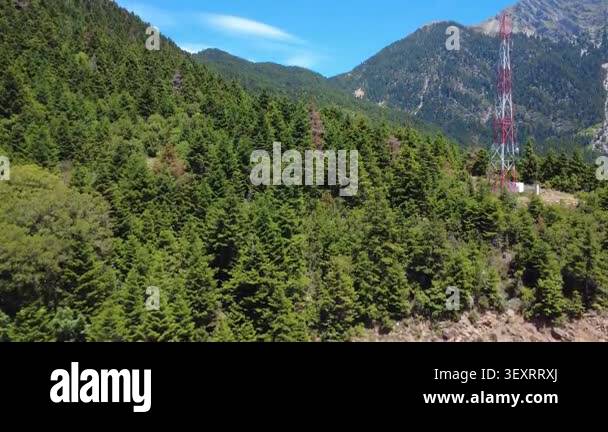 Aerial wide angle view of a dense fir forest on a mountain with a ...