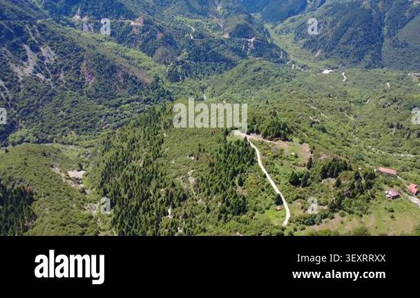 Aerial wide angle view above a green mountain slope covered with fir ...