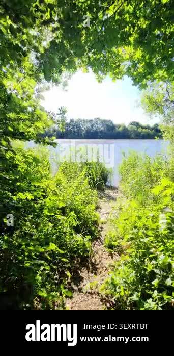 Personal perspective walk through a green forest path to the shore of a ...
