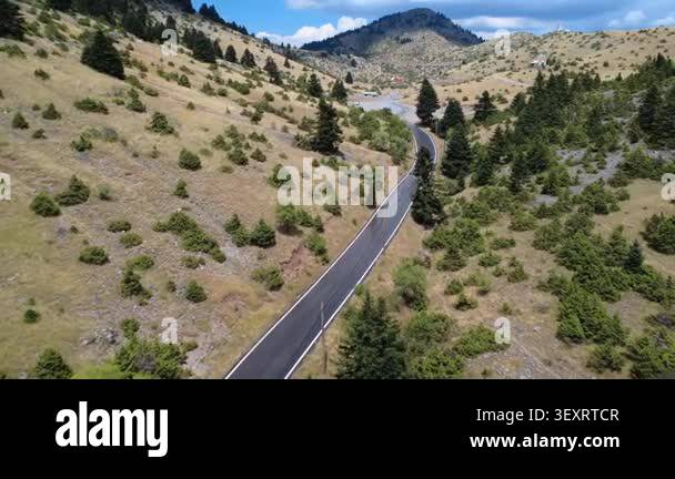 Wooden poles line a wet asphalt road with shrubs stones and firs as ...