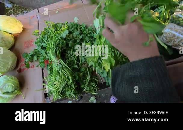 Video of Hand selecting fresh leafy greens at market stall. Vegetables ...