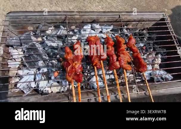 Video of Hands placing skewered meat on the grill tray. Hand adjusts ...