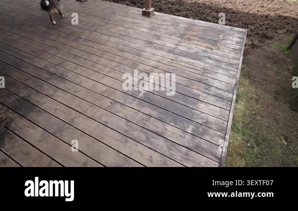 Parallel planks show dark mold streaks, a light patch, and a post. Dog ...