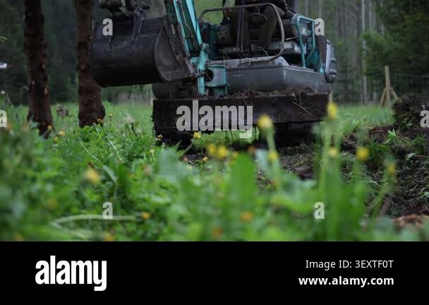 Compact tracked excavator moves through grass with yellow flowers, mud ...