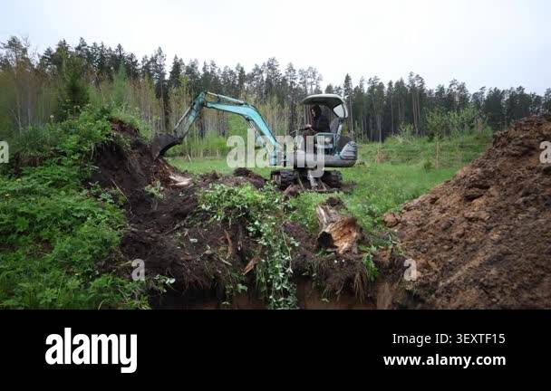 Mini excavator with turquoise boom lifts soil and roots toward spoil ...