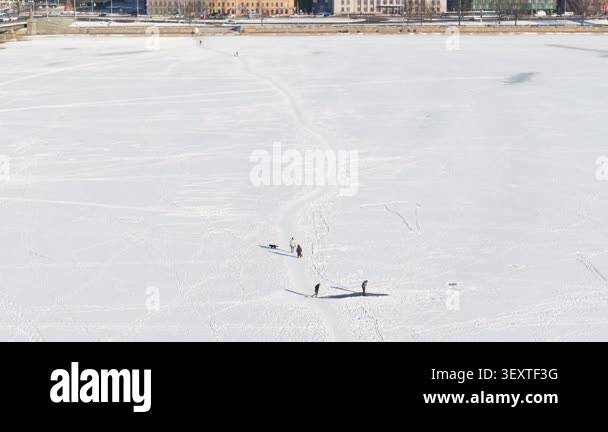Aerial view of central Riga shows locals and dogs on an S shaped path ...