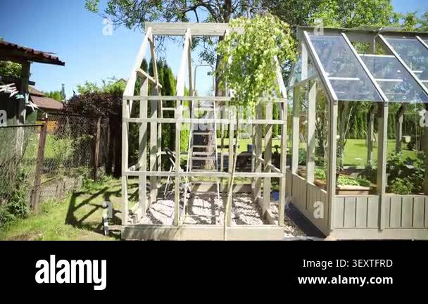 Wooden frame rises on gravel beside tempered glass greenhouse in garden ...