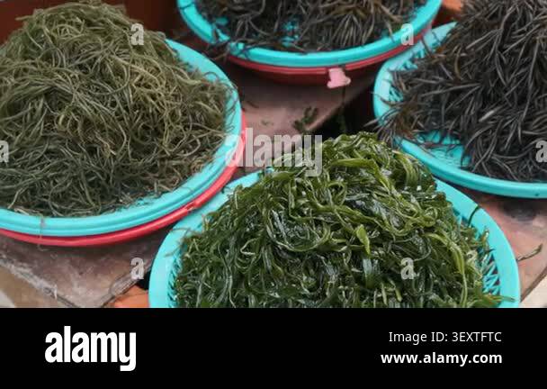 Fresh edible seaweed varieties displayed at traditional seafood market ...