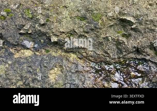 stone wall background, stones background, wall backdrop Stock Video ...