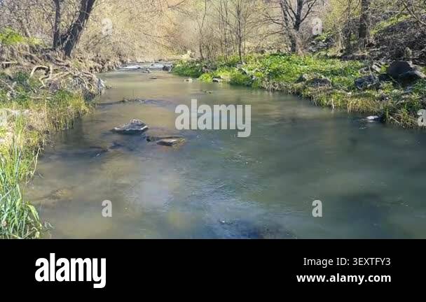water flowing in the river, relaxed water background, moving water in ...