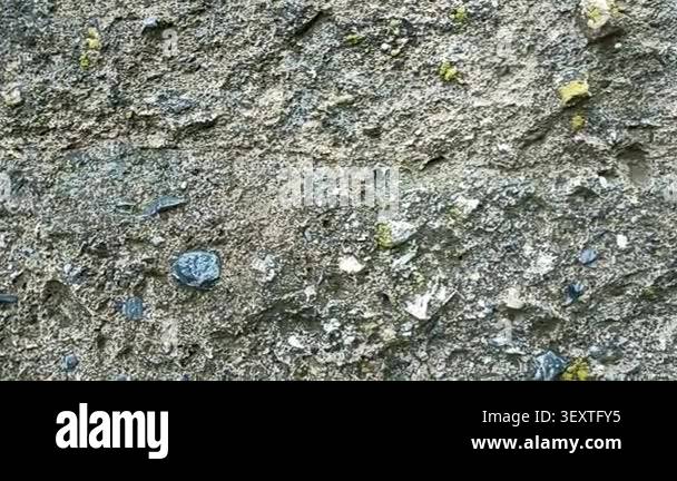 stone wall background, stones background, wall backdrop Stock Video ...