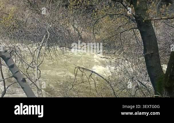 water flowing in the river, relaxed water background, moving water in ...