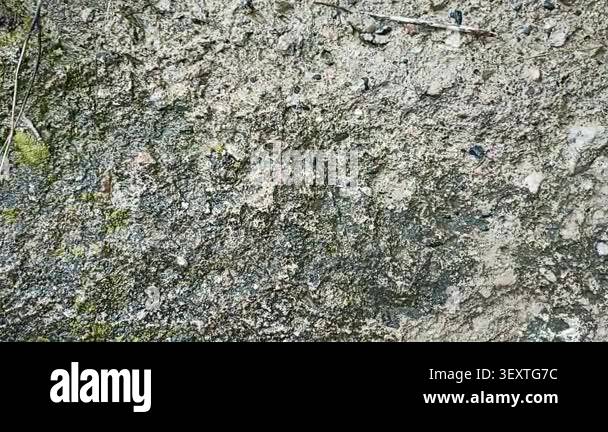 stone wall background, stones background, wall backdrop Stock Video ...