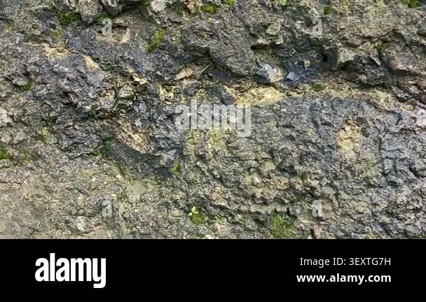 stone wall background, stones background, wall backdrop Stock Video ...