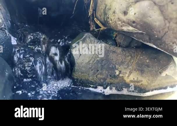 water flowing in the river, relaxed water background, moving water in ...