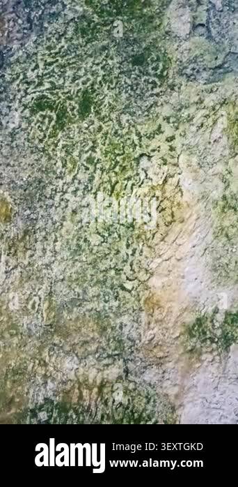 grunge wall with cracks, texture background video, wall banner Stock ...