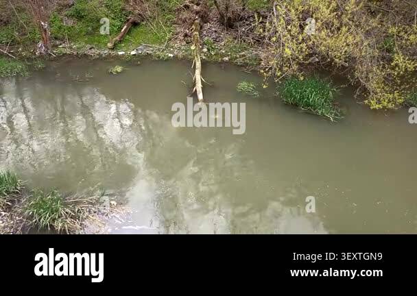 water flowing in the river, relaxed water background, moving water in ...