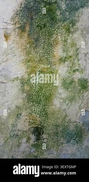 grunge wall with cracks, texture background video, wall banner Stock ...