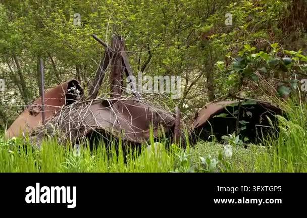 abandoned rusted metal in the nature Stock Video Footage - Alamy