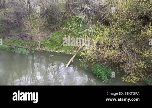 water flowing in the river, relaxed water background, moving water in ...