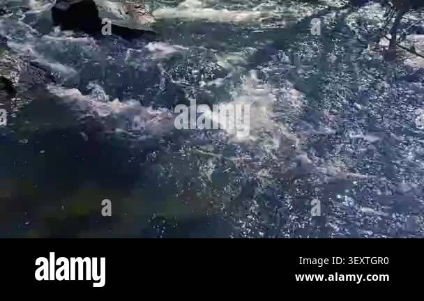 water flowing in the river, relaxed water background, moving water in ...