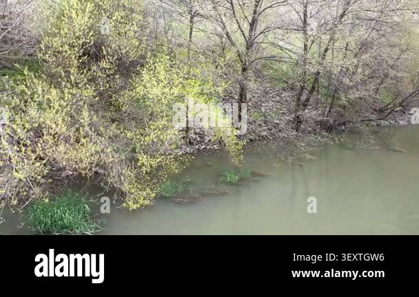 water flowing in the river, relaxed water background, moving water in ...
