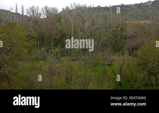 green nature background, green nature in spring Stock Video Footage - Alamy