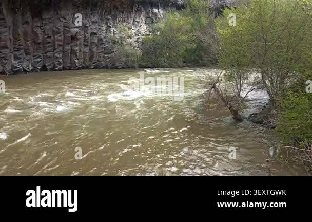 green nature background, green nature in spring Stock Video Footage - Alamy