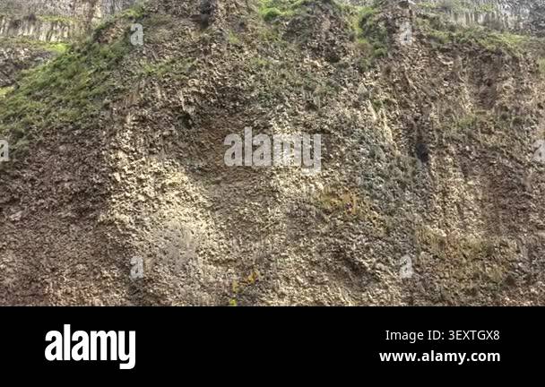 green nature background, green nature in spring Stock Video Footage - Alamy