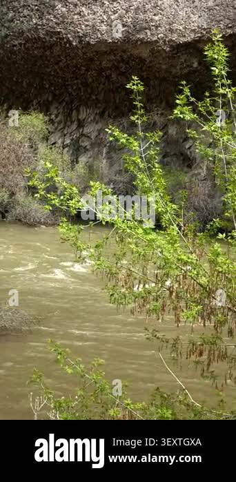 green nature background, green nature in spring Stock Video Footage - Alamy