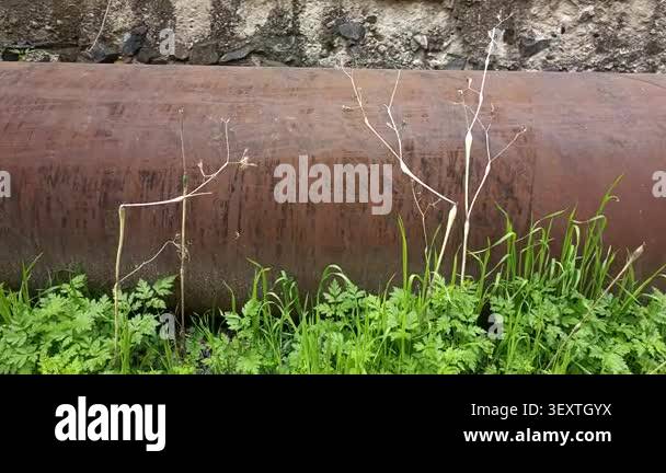 abandoned rusted metal in the nature Stock Video Footage - Alamy