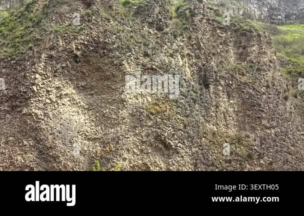 green nature background, green nature in spring Stock Video Footage - Alamy