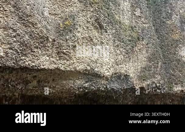 green nature background, green nature in spring Stock Video Footage - Alamy