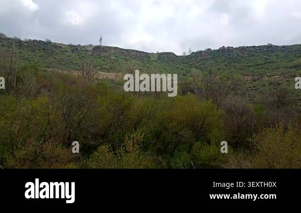 green nature background, green nature in spring Stock Video Footage - Alamy