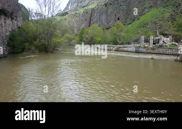green nature background, green nature in spring Stock Video Footage - Alamy