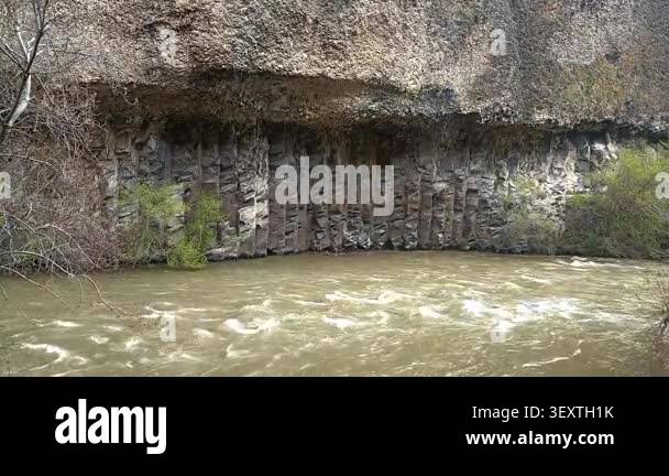 green nature background, green nature in spring Stock Video Footage - Alamy