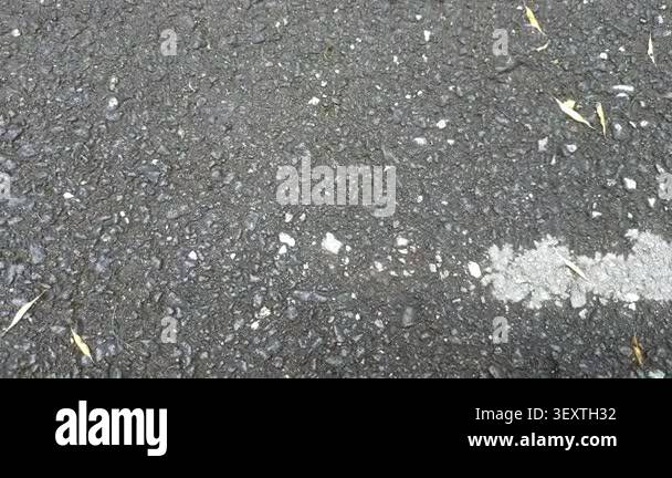close up of a wet asphalt background, asphalt backdrop Stock Video ...